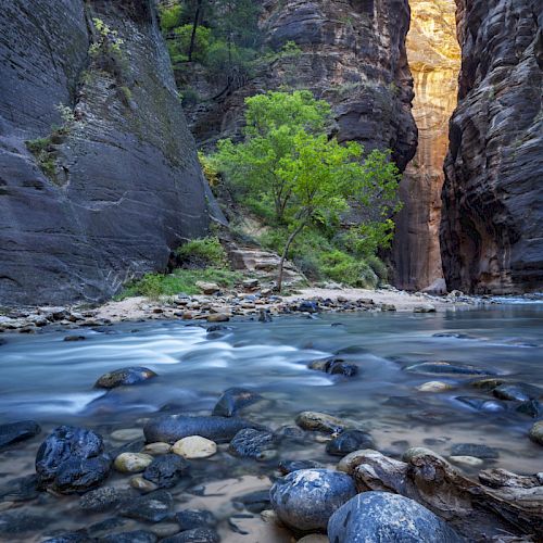 Zion National Park- The Narrows Water Hike